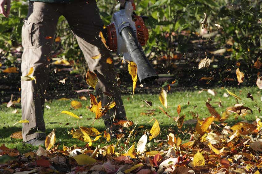 Leaf Blowers Are Great in All Four Seasons | Eagle Rentals