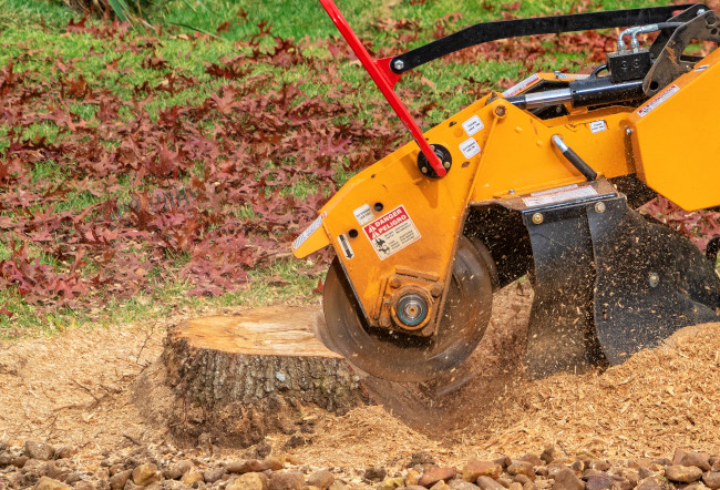 Why You Need a Stump Grinder | Eagle Rentals